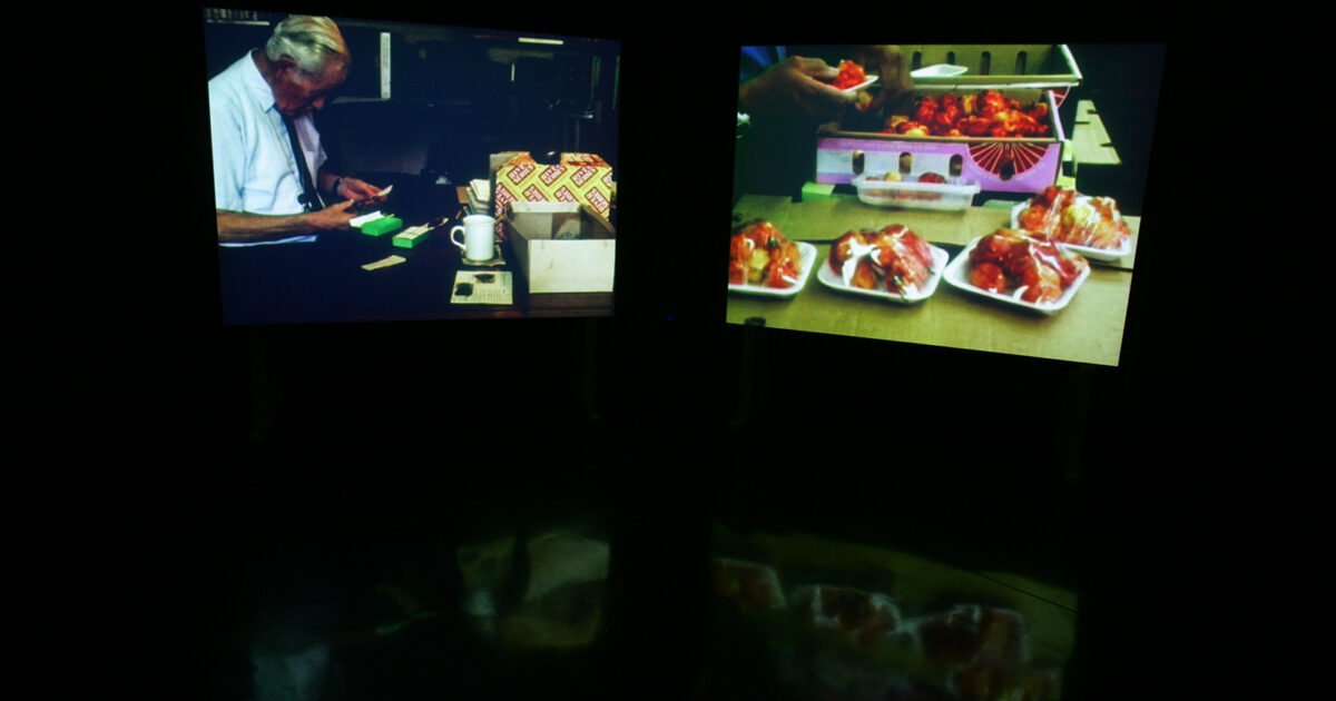 FACT | Anna Lucas: Here and Your Here