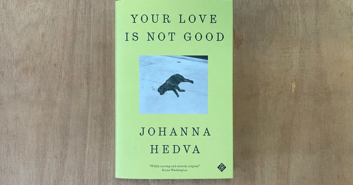 FACT | Johanna Hedva & Uma Breakdown In Conversation