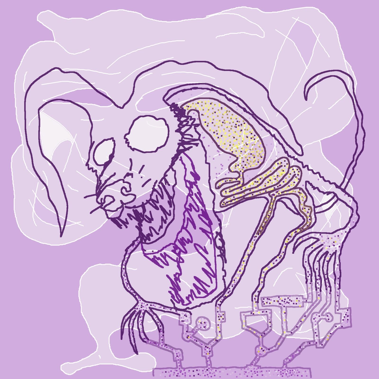 FACT | Uma Breakdown