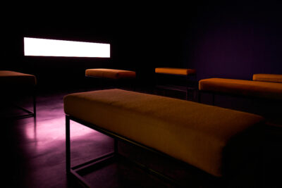 FACT | Alexandra Daisy Ginsberg