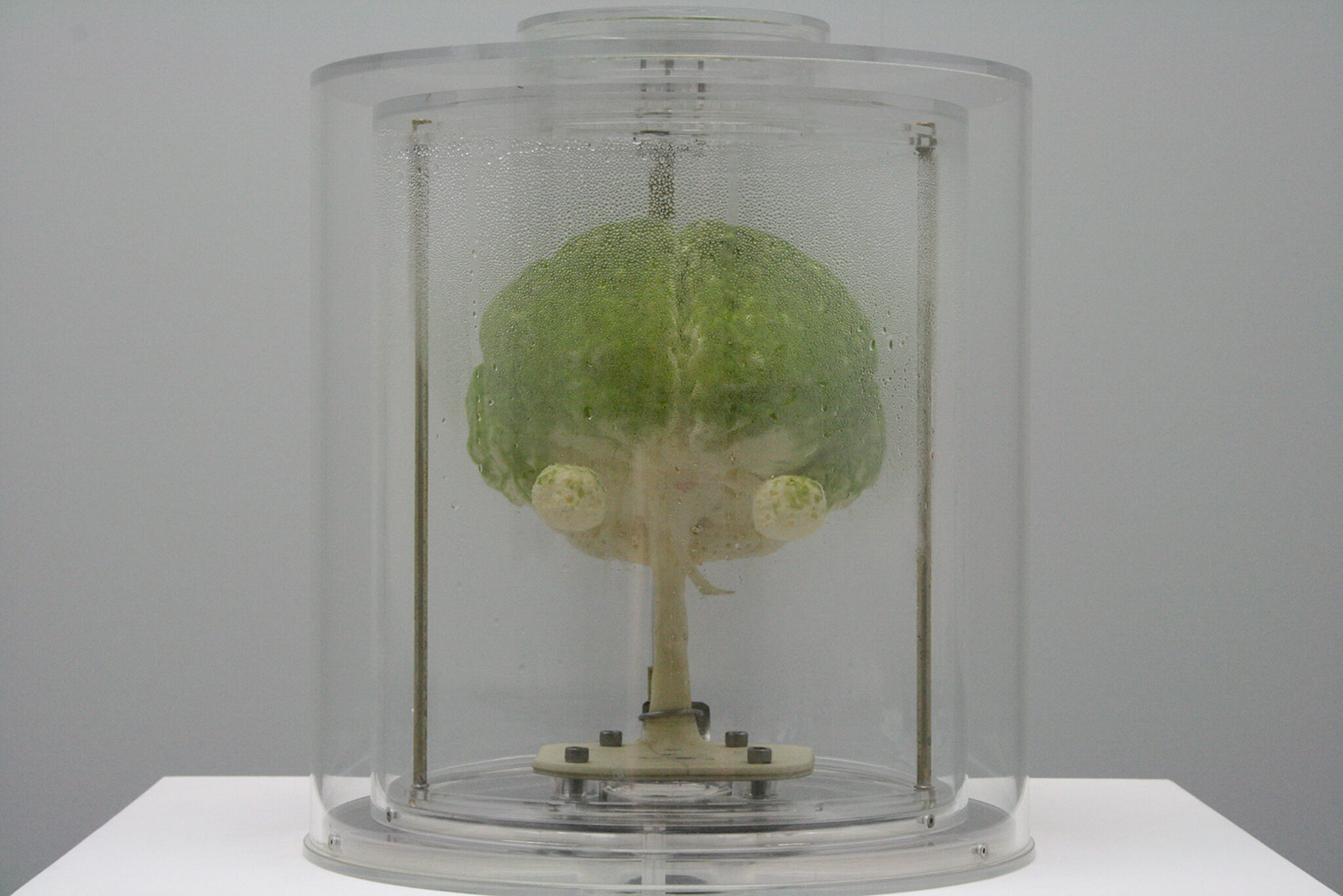 FACT | Light, only Light (2003)